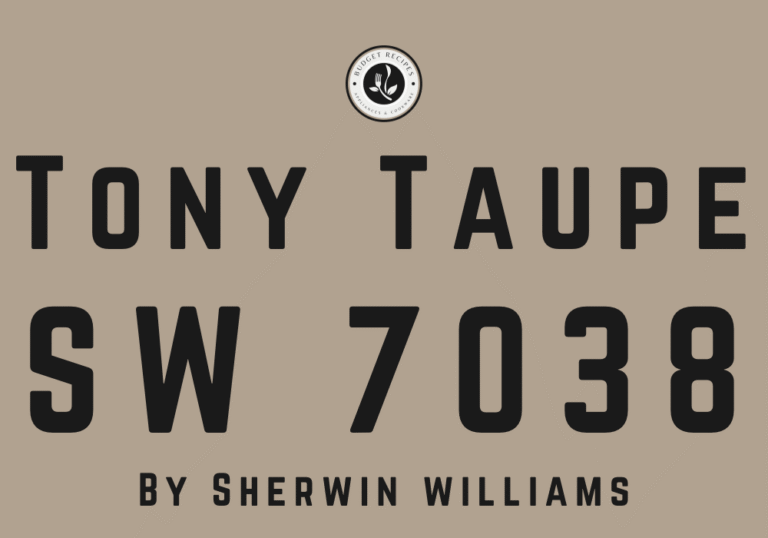 Tony Taupe by Sherwin Williams SW 7038: Complete Color Guide – My ...