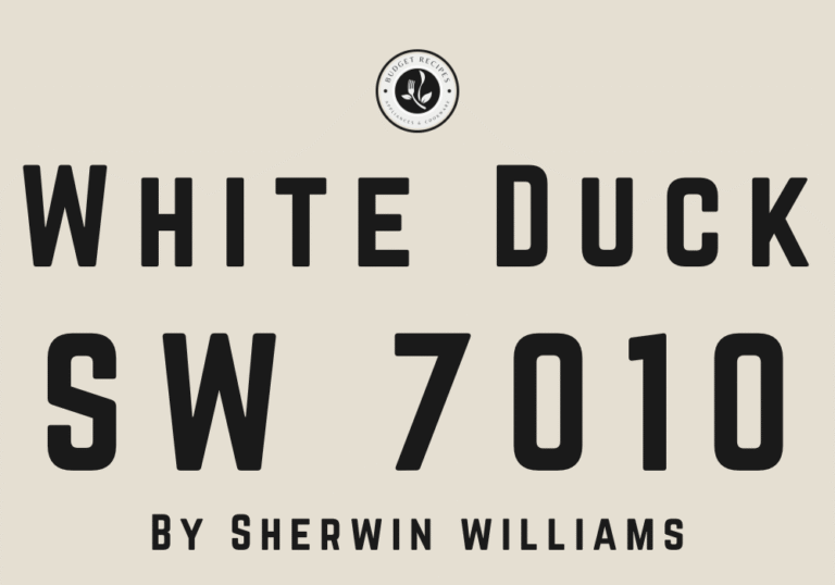 White Duck by Sherwin Williams SW 7010: Color Guide & Tips – My Budget ...