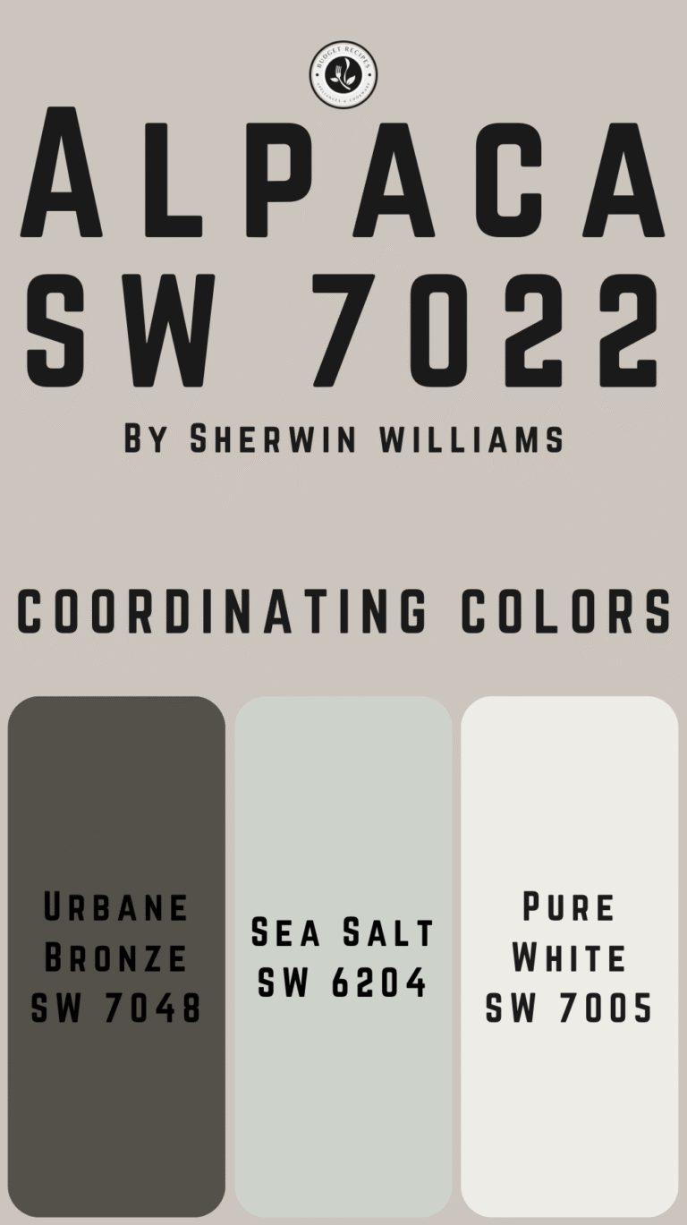 Alpaca by Sherwin Williams SW 7022: Color, Undertones & More – My ...