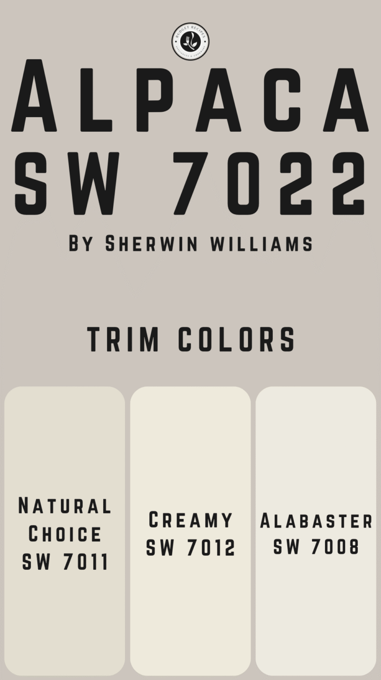 Alpaca by Sherwin Williams SW 7022: Color, Undertones & More – My ...