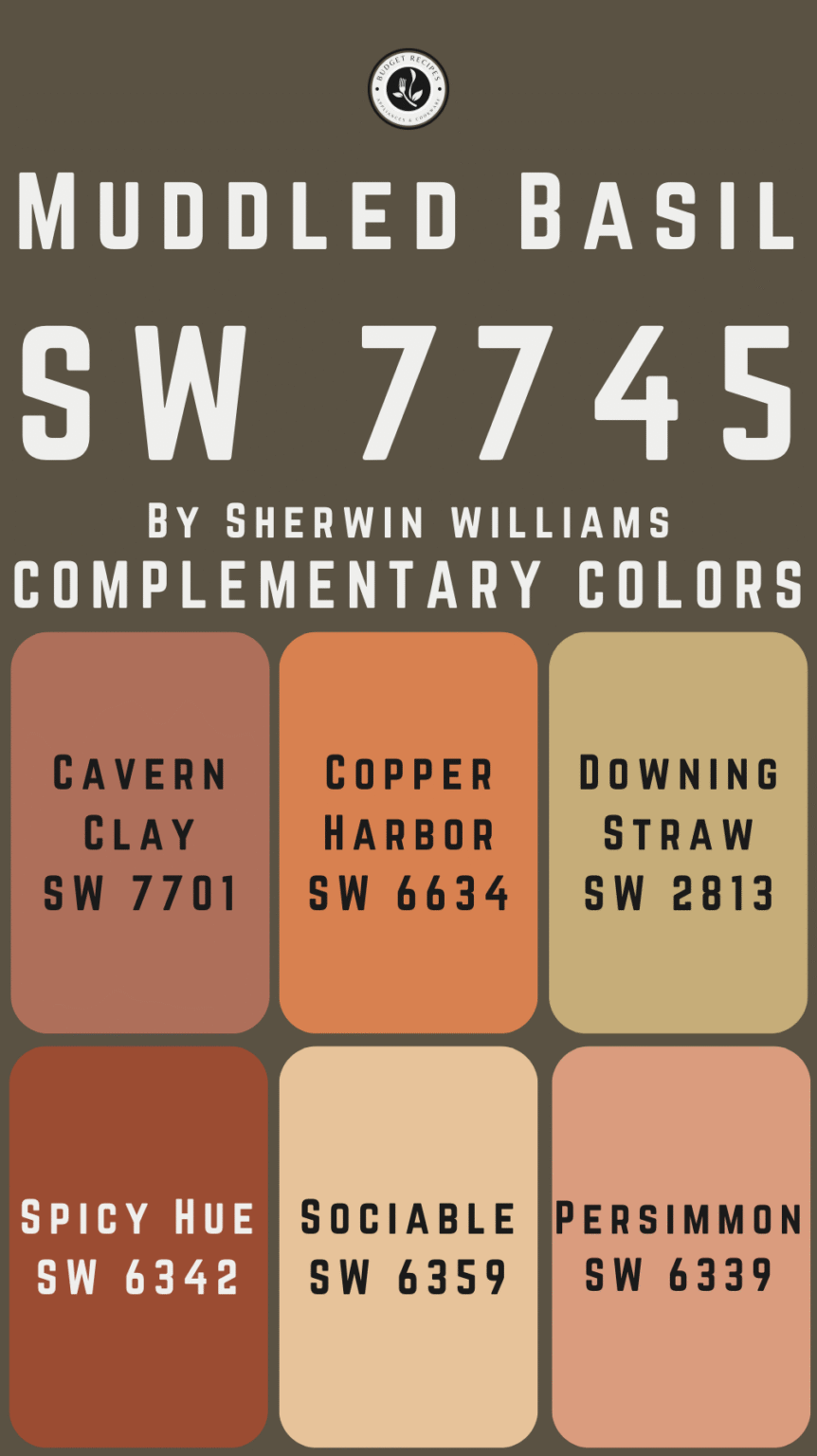 Muddled Basil by Sherwin Williams SW 7745: Complete Color Guide – My ...