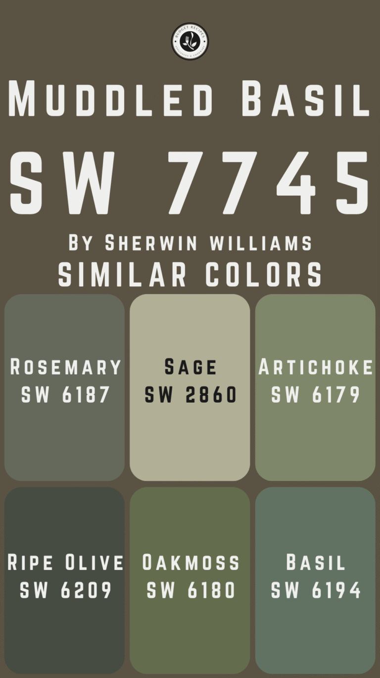 Muddled Basil by Sherwin Williams SW 7745: Complete Color Guide – My ...