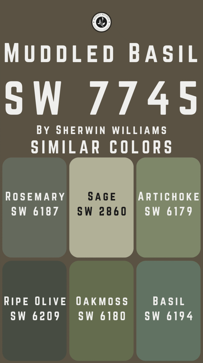 Muddled Basil by Sherwin Williams SW 7745: Complete Color Guide – My ...