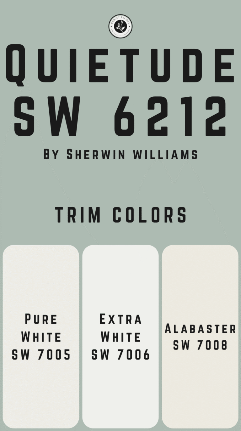 Quietude by Sherwin Williams SW 6212: Color Guide & Inspiration – My ...