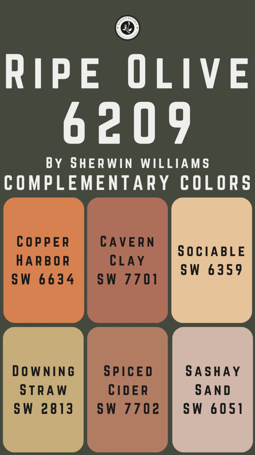 Ripe Olive by Sherwin Williams SW 6209: Color Guide & Inspiration – My ...