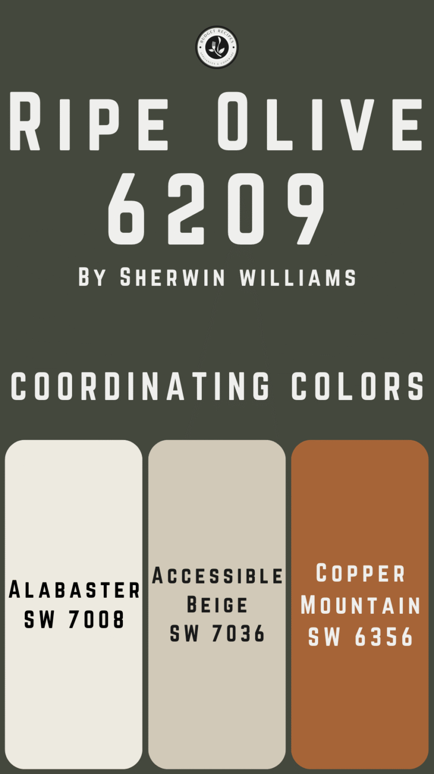 Ripe Olive by Sherwin Williams SW 6209: Color Guide & Inspiration – My ...
