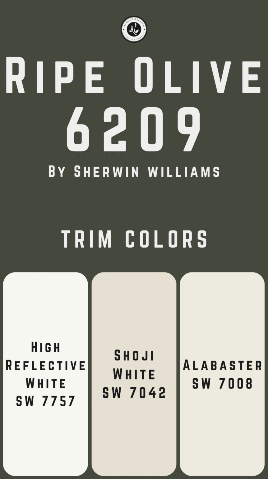 Ripe Olive by Sherwin Williams SW 6209: Color Guide & Inspiration – My ...