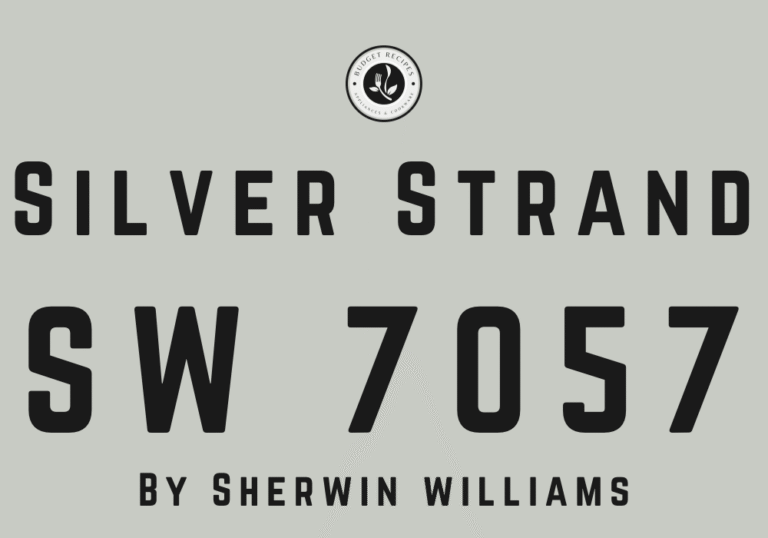 Silver Strand by Sherwin Williams SW 7057: Complete Color Guide – My ...
