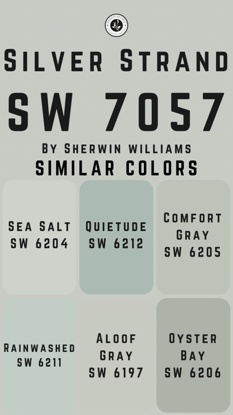 Silver Strand by Sherwin Williams SW 7057: Complete Color Guide – My ...