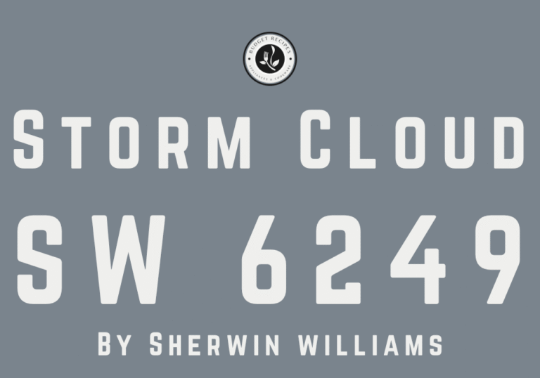 Storm Cloud by Sherwin Williams SW 6249: Color Guide & Ideas – My ...