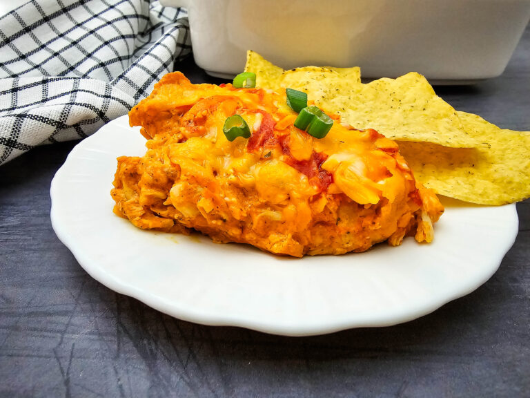 Buffalo Chicken Dip – My Budget Recipes