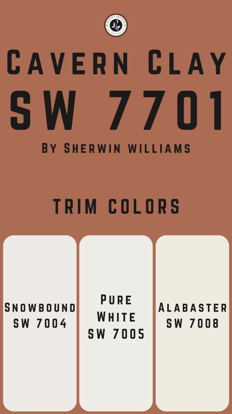 Cavern Clay by Sherwin Williams SW 7701: A Friendly Guide – My Budget ...