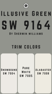 Illusive Green by Sherwin Williams SW 9164: Complete Color Guide – My ...