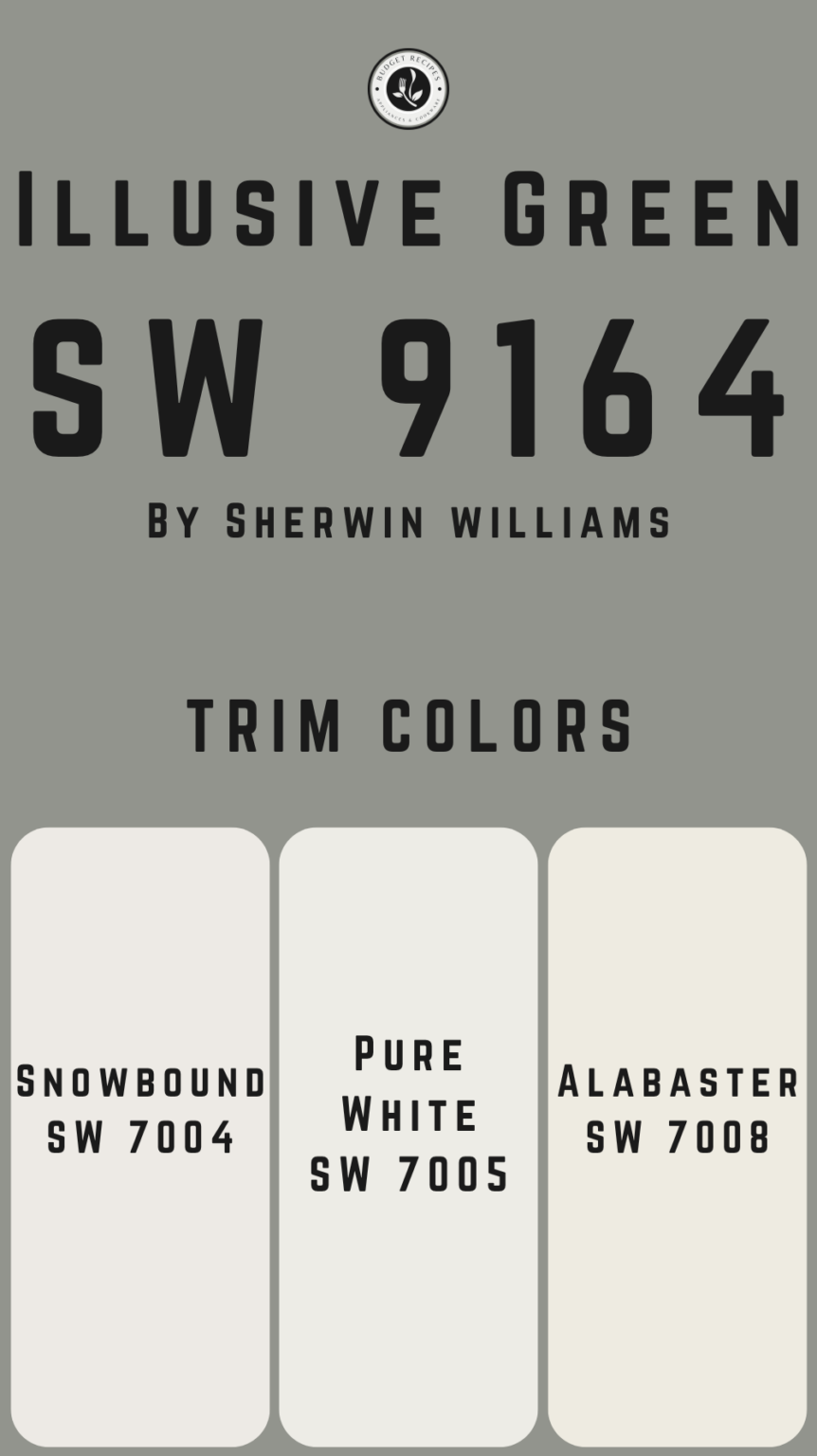 Illusive Green by Sherwin Williams SW 9164: Complete Color Guide – My ...