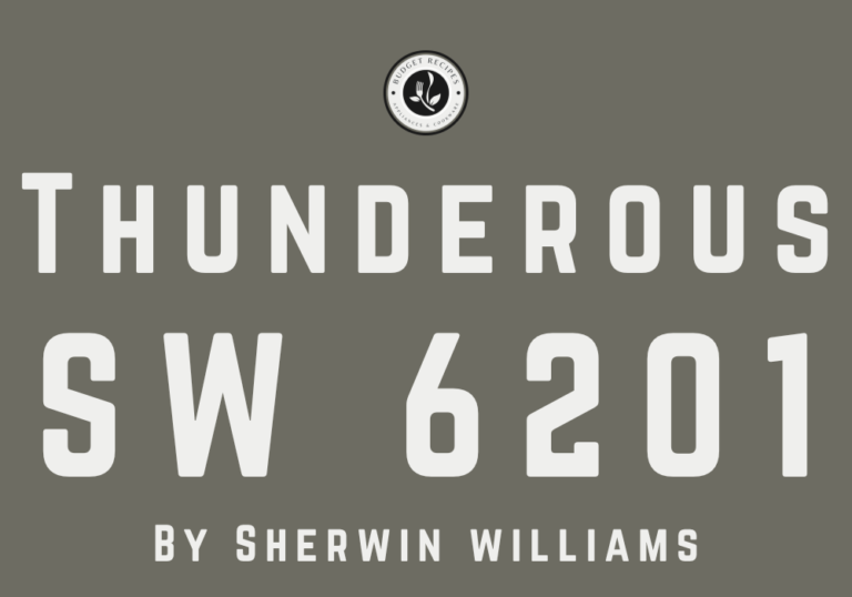 Thunderous by Sherwin Williams SW 6201: Friendly Color Guide – My ...
