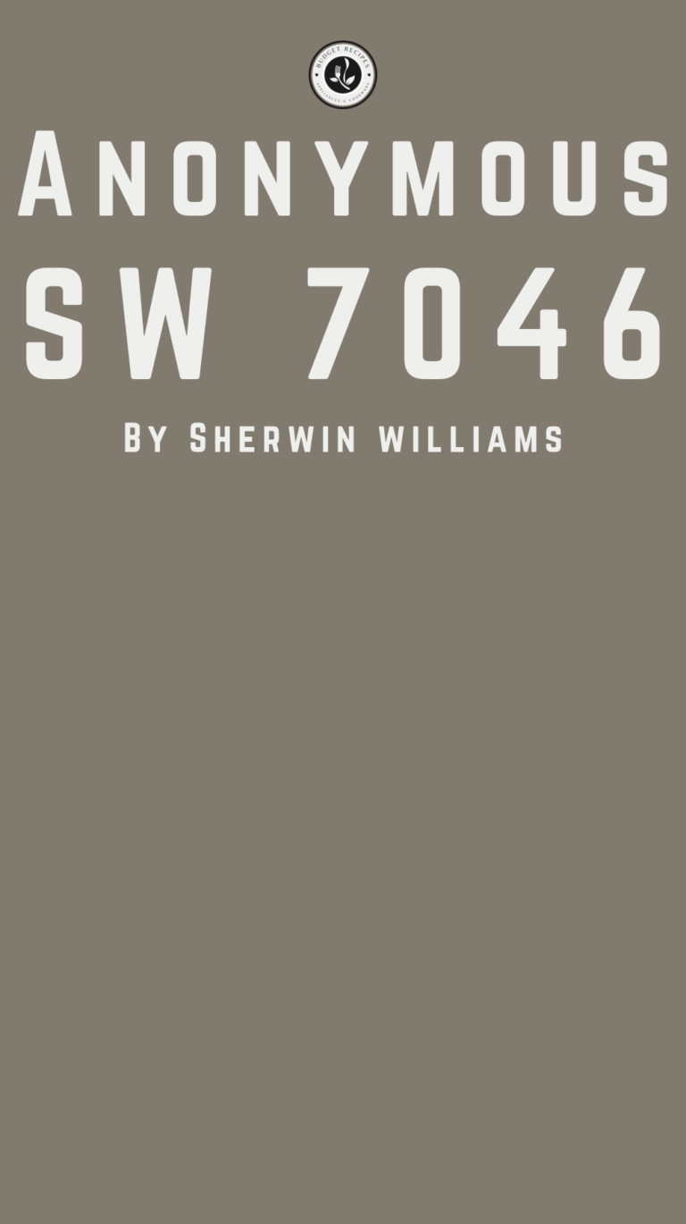 Anonymous by Sherwin Williams SW 7046: Color Guide & Examples – My ...